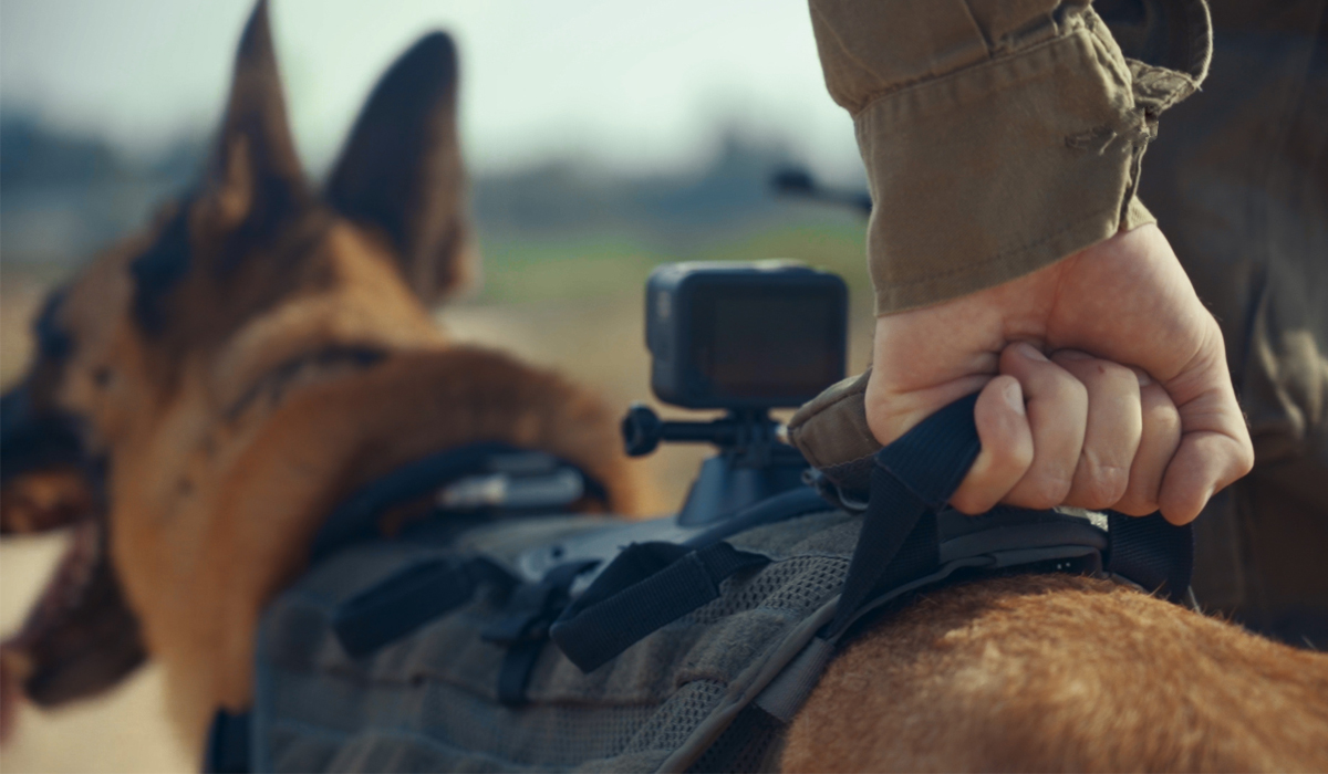 Tom Samuel – Graduates 2020